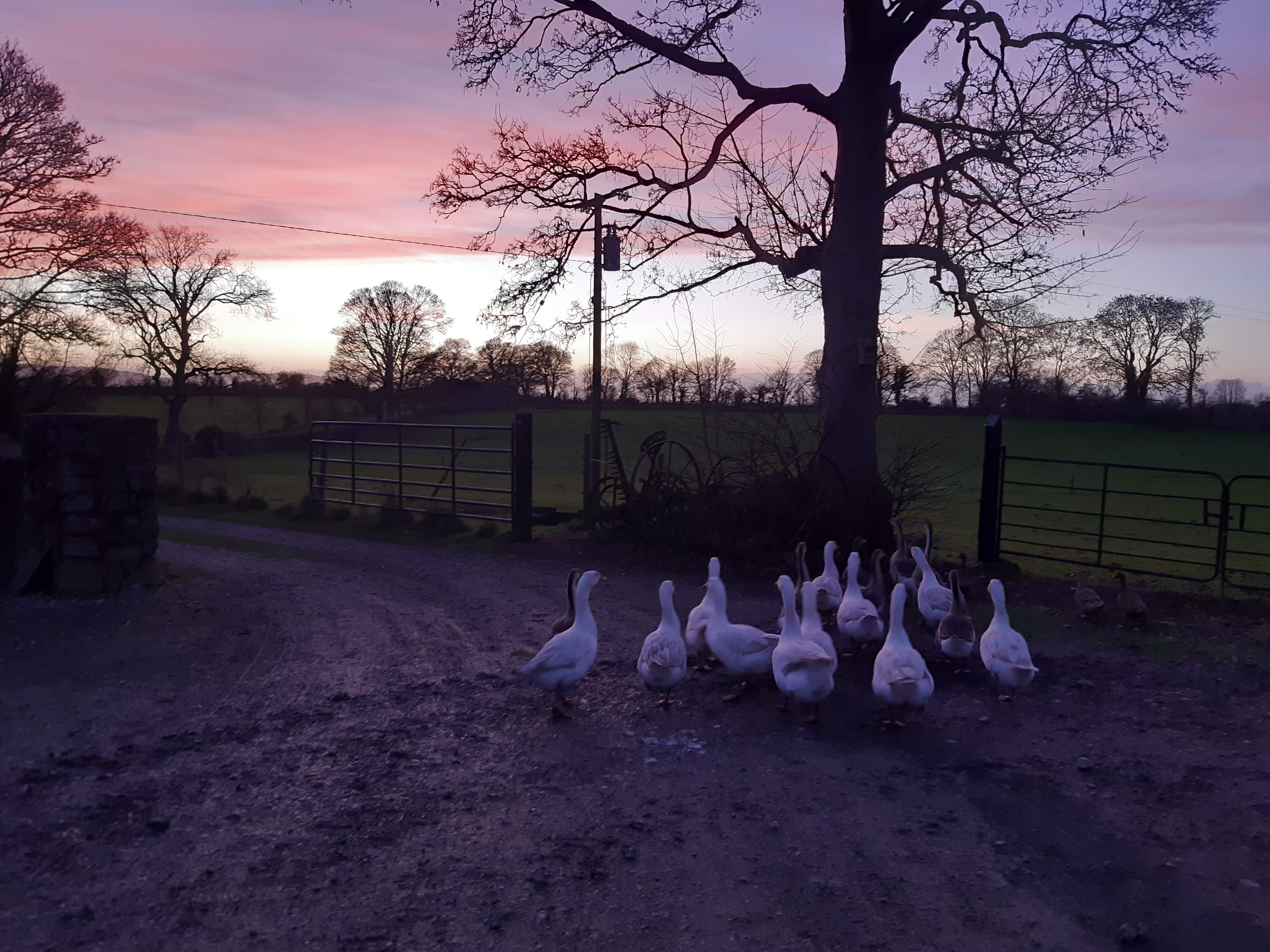 Farm shop & Stockists – Tory Hill House