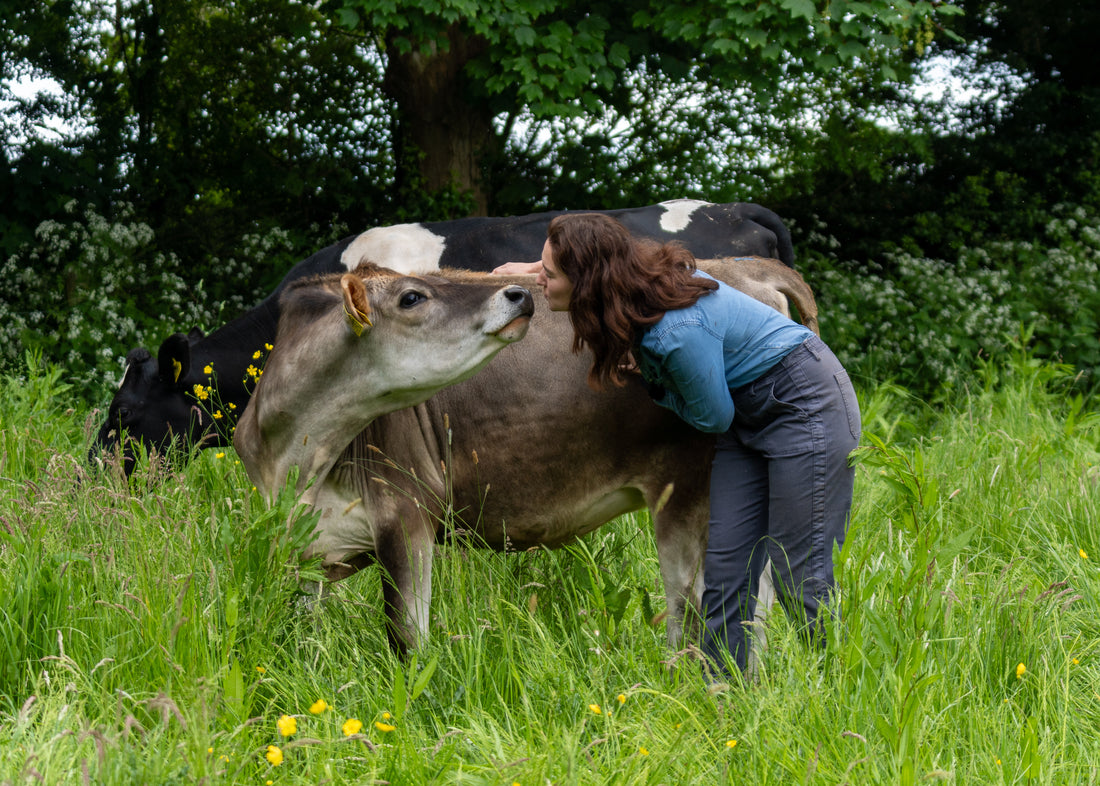 Farm walk - Saturday 1st of November – Tory Hill House